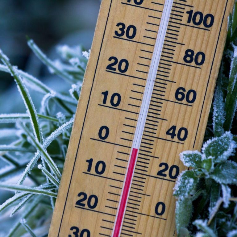 Remember when dealing with extreme cold conditions – The Tylertown Times